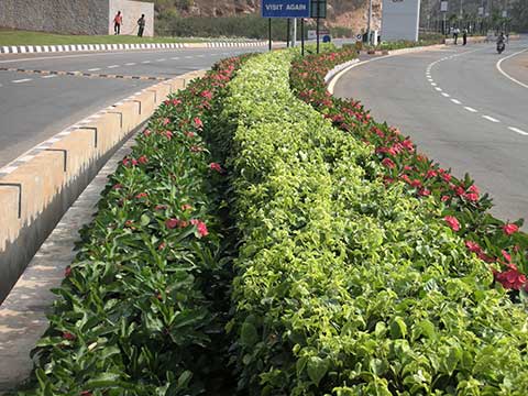 Landscape Contractor in Pimpri Chinchwad (PCMC), Pune